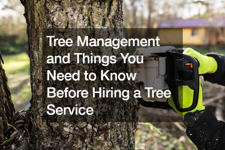 Tree Management and Things You Need to Know Before Hiring a Tree ...