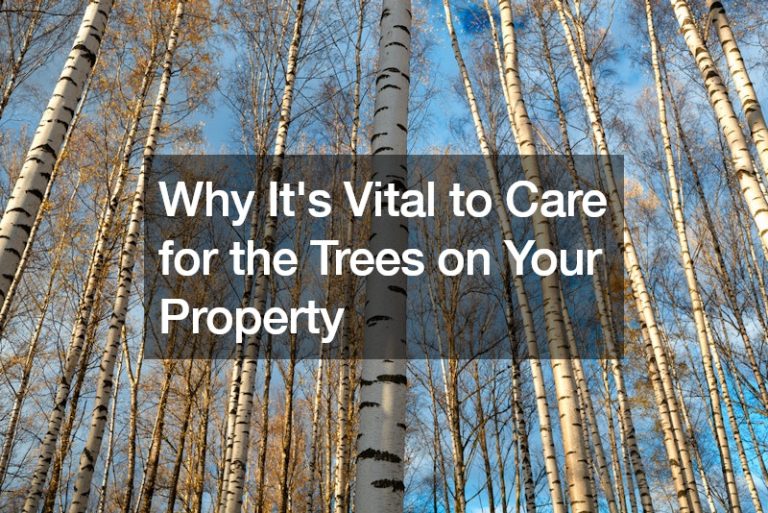 Why Its Vital to Care for the Trees on Your Property - Landscape Design and Tree Service News